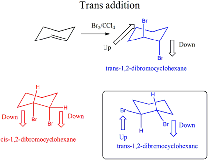 1,2 Dibromocyclohexane