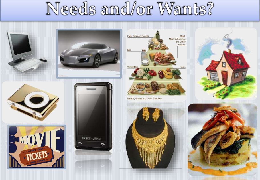 Economic Needs And Wants