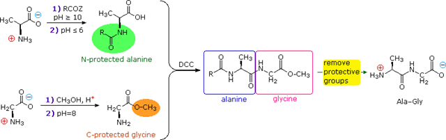Answer in Organic Chemistry for WOLF #272139