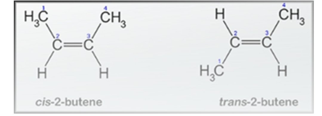 Answer in Organic Chemistry for Malik daley #204425