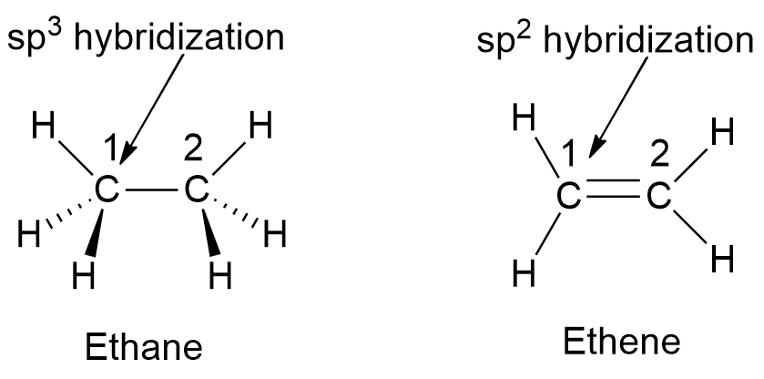 Sp2 Hybridization Ethene