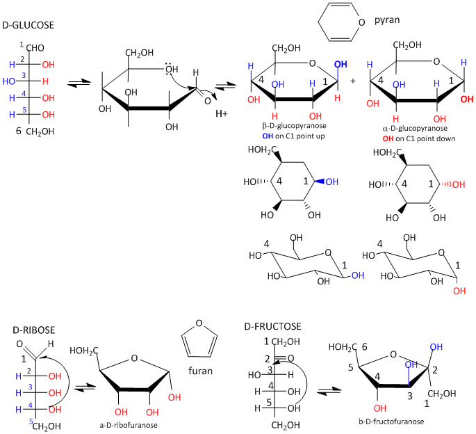 Optical Isomers Alanine