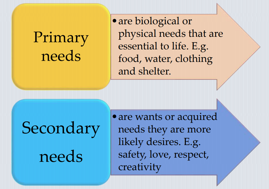Economic Needs And Wants