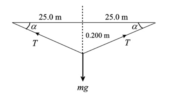 Answer in Mechanics | Relativity for Anas #240471