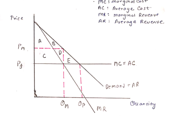 Monopoly Graph Consumer Surplus